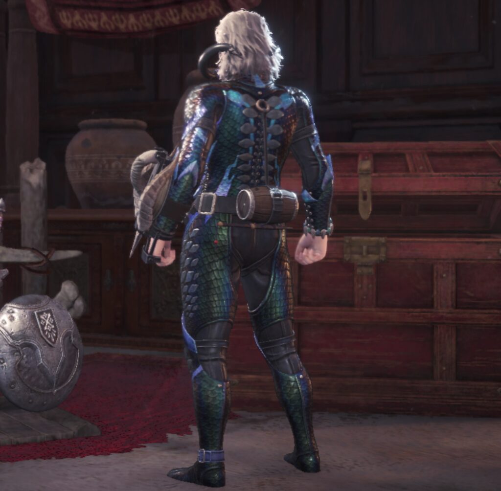 ダイバーシリーズ | MHW装備画像一覧